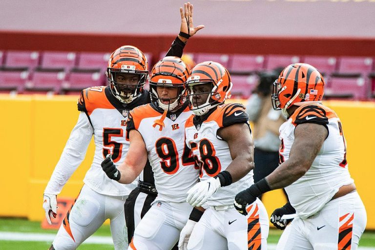 10 Facts About the Cincinnati Bengals - refactoid